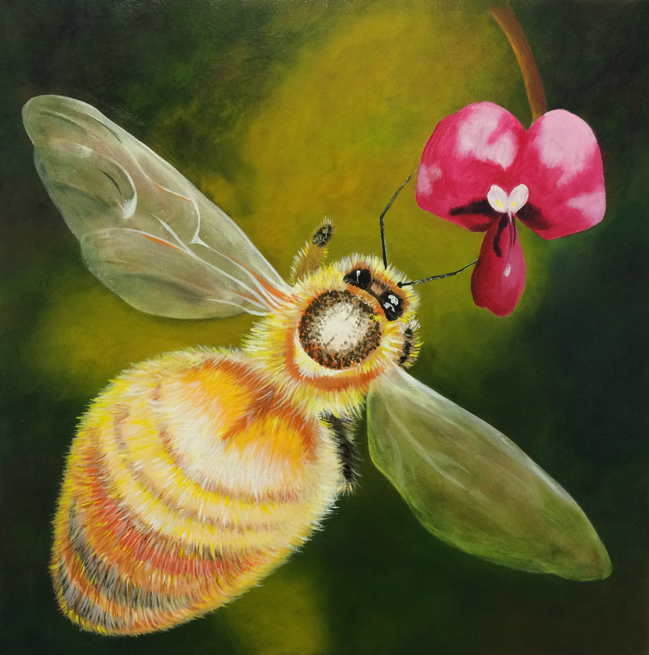 Paintings – Deborah Eddy Art